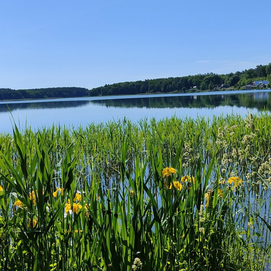 Ihr Erholungsort Lindow (Mark), Stadt der drei Seen heißt Sie Willkommen